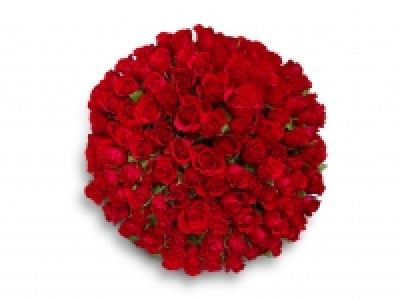 Offer Lidl Deluxe 100 Red Roses Lidl